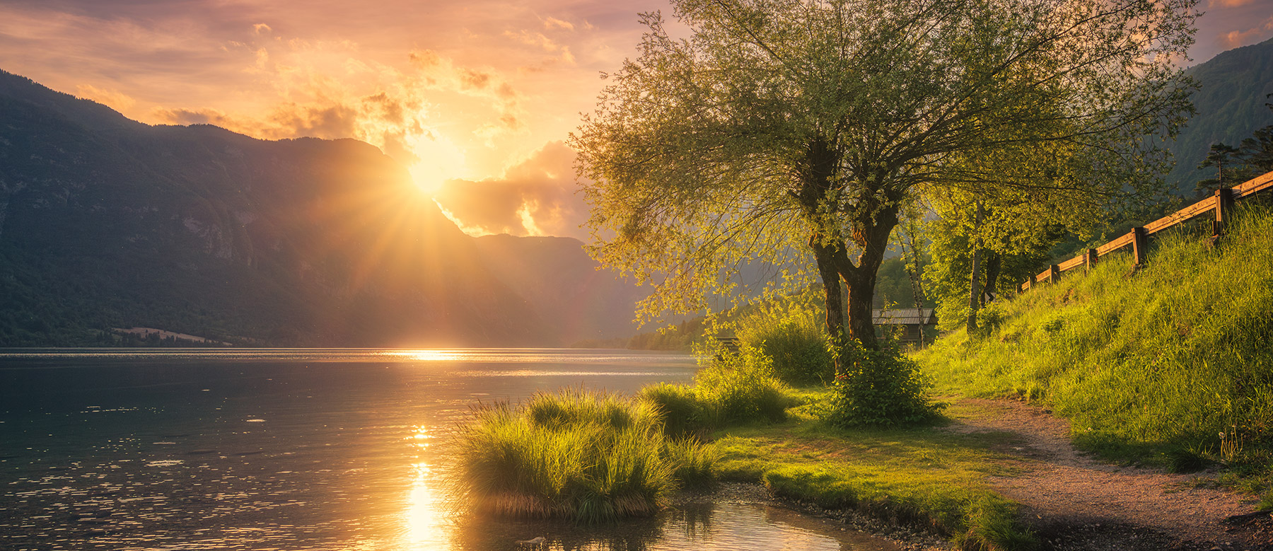 Contact Us | Mindful Path Mental Health Services